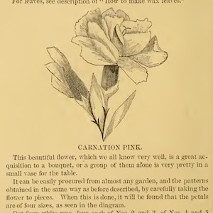 How to Make WAX FLOWERS and FRUIT Rare Victorian Manual Teach Yourself ...
