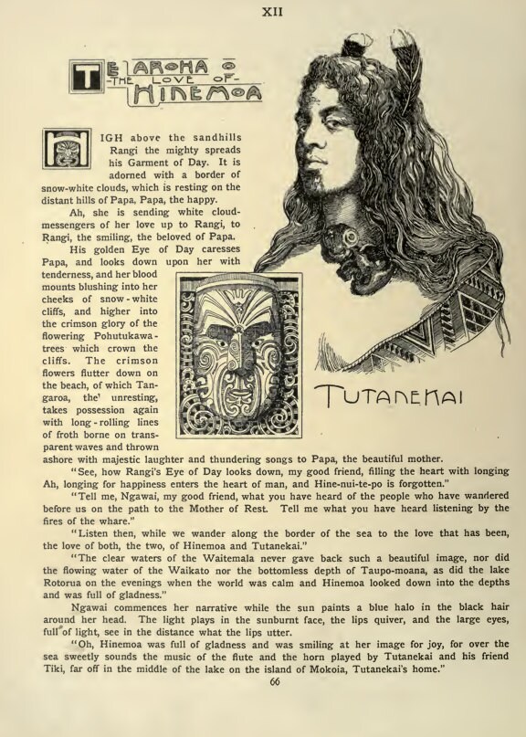 TE TOHUNGA MAORI Legends and the Ancient Traditions Rare Illustrated ...