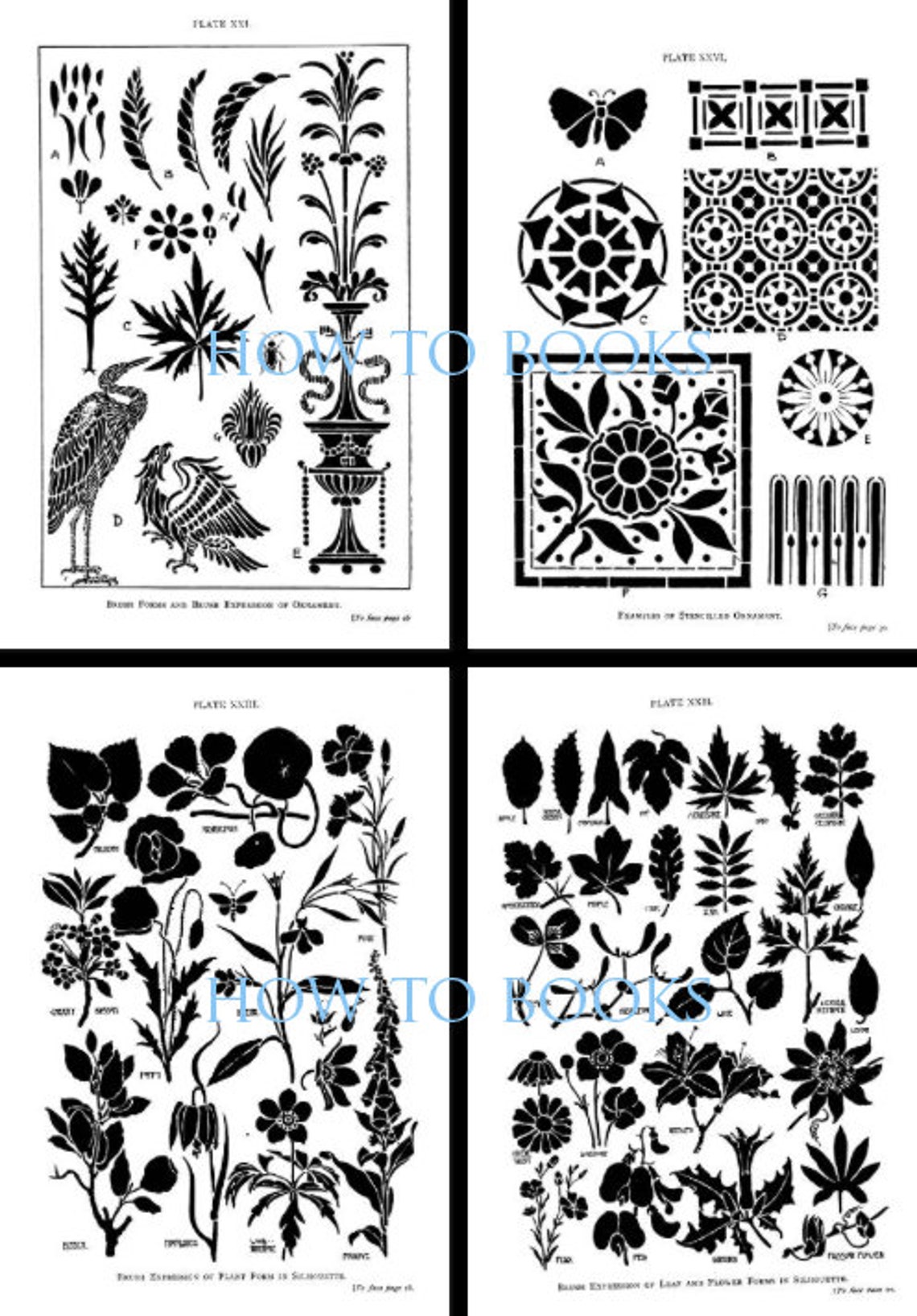 Beginners GUIDE to ORNAMENTAL DESIGN With 300 Royalty Free ...