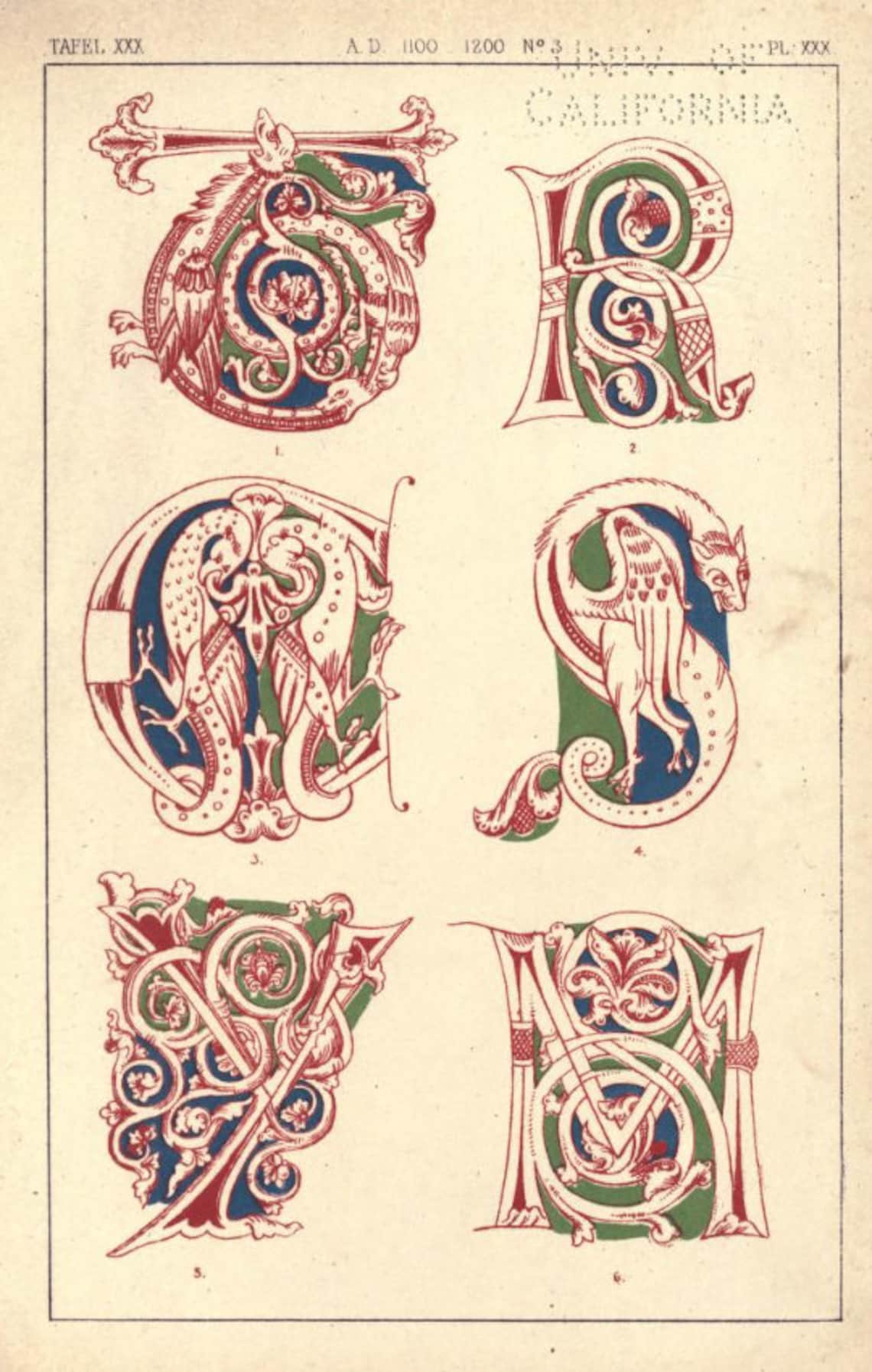 ART of ILLUMINATING in EUROPE Rare Ornamental Alphabets and | Etsy