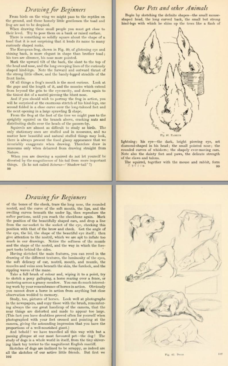 DRAWING for BEGINNERS an Illustrated Handbook on Learning to | Etsy