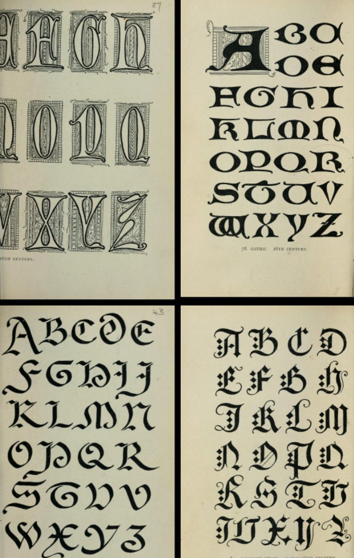 150 ALPHABETS Old and New Rare Illustrated Reference Book for | Etsy