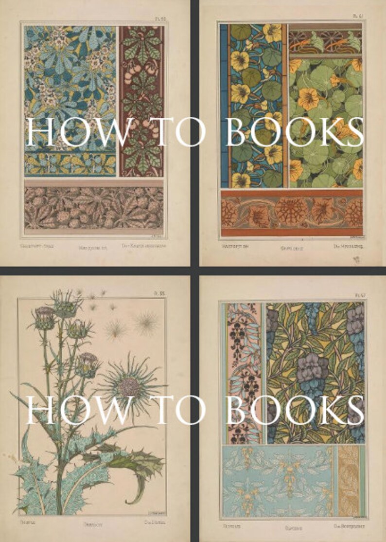 ART NOUVEAU PLANTS Pattern Book 53 Full Color Plates by M. Eugène ...