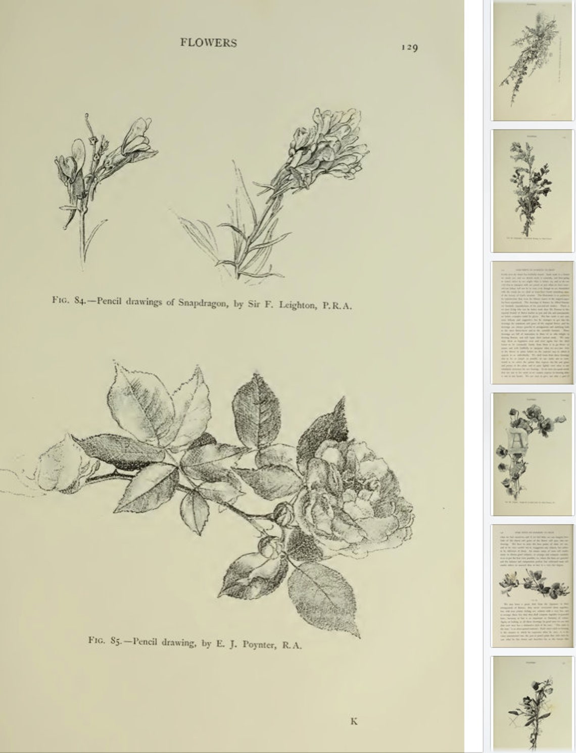 LEARNING to DRAW Hints for Students of Art Designers and Pen - Etsy