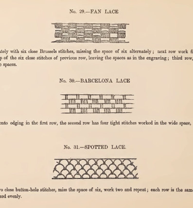 Point Lace Illustrations Descriptions Stitches and - Etsy