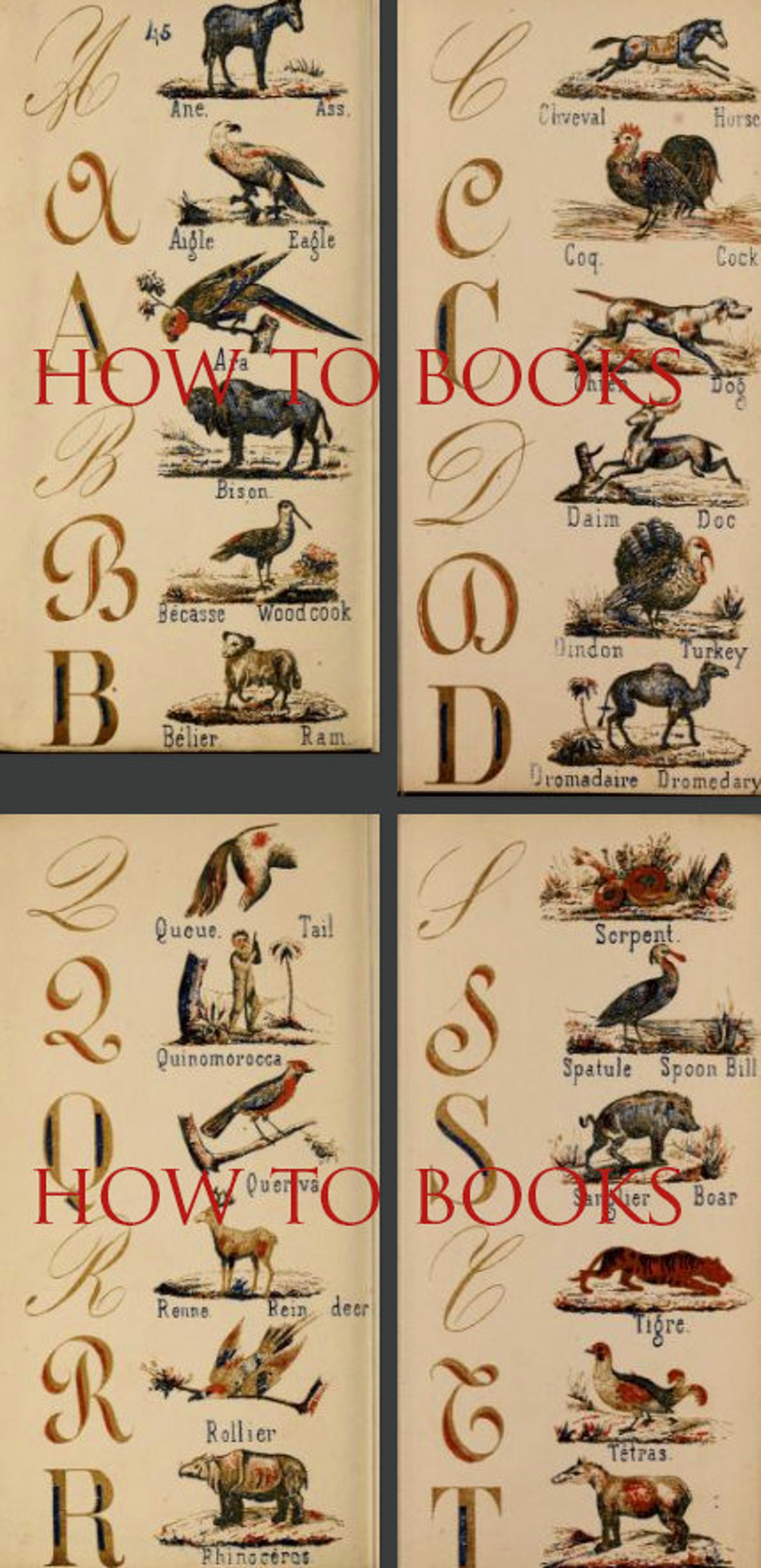 FRENCH ILLUSTRATED Pictorial Animal ALPHABET Colorful Book 14 Pages ...
