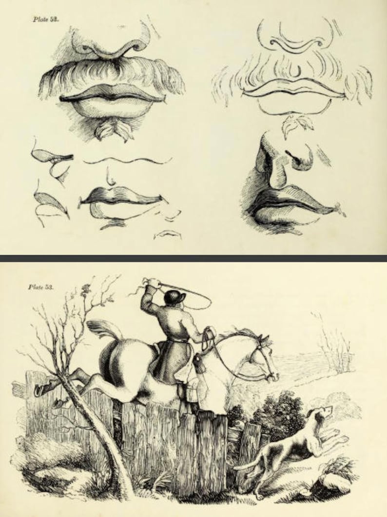 The BRITISH DRAWING BOOK 72 Progressive Lessons on the Art of - Etsy