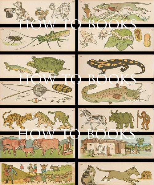 1000 Color Daily Life ILLUSTRATIONS Childrens Instructive - Etsy