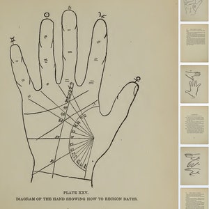 The ILLUSTRATED SCIENCE of PALMISTRY ~ Cheirognomy ~ Cheiromancy Based ...