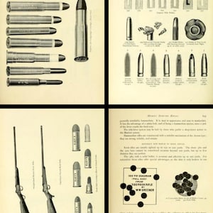 ILLUSTRATED HISTORY of the GUN Rare Book About the Development of Guns ...