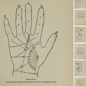 New Collection of 5 X Rare Victorian PALMISTRY ASTROLOGY PHRENOLOGY ...