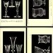ENGLISH TABLE GLASS a Rare Illustrated Reference Book for Collectors of ...
