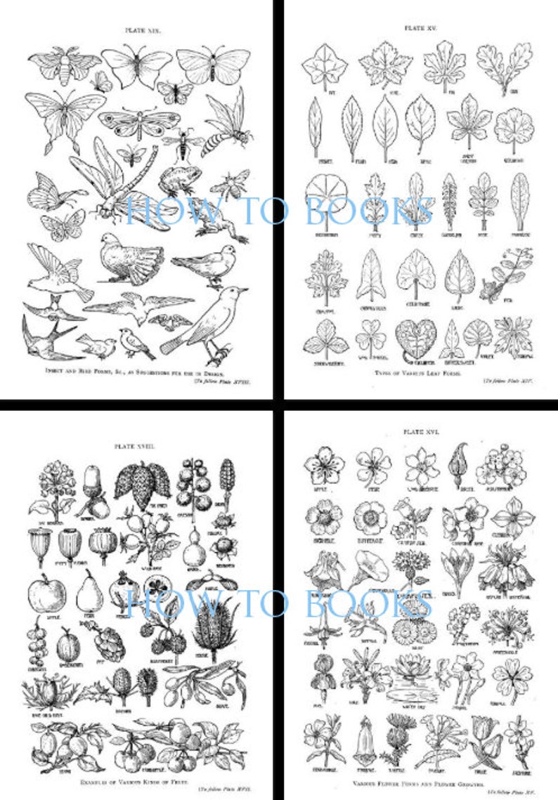 Beginners GUIDE to ORNAMENTAL DESIGN With 300 Royalty Free ...