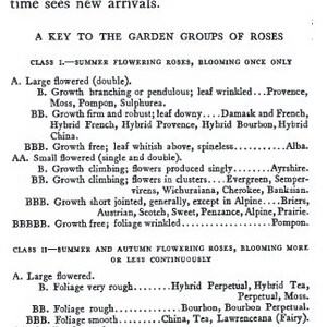 Grow the Perfect Rose With HOW to GROW ROSES Everything That You Need ...