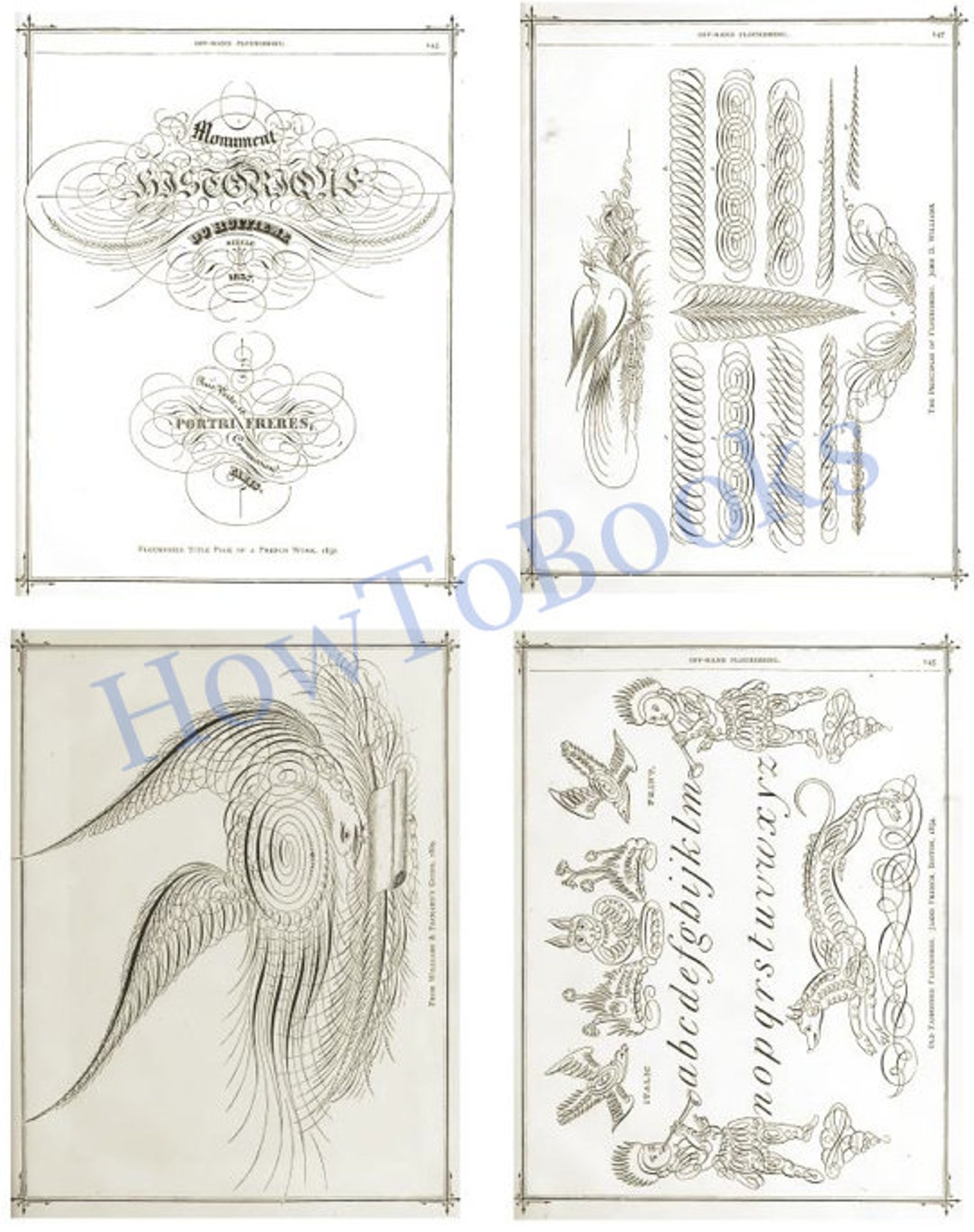 The Complete Calligraphy Handbook on Ornamental Penmanship Handwriting ...