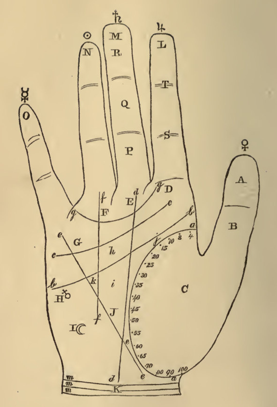 The ART of HAND READING Chirognomy Chiromancy Instant Download Palm ...