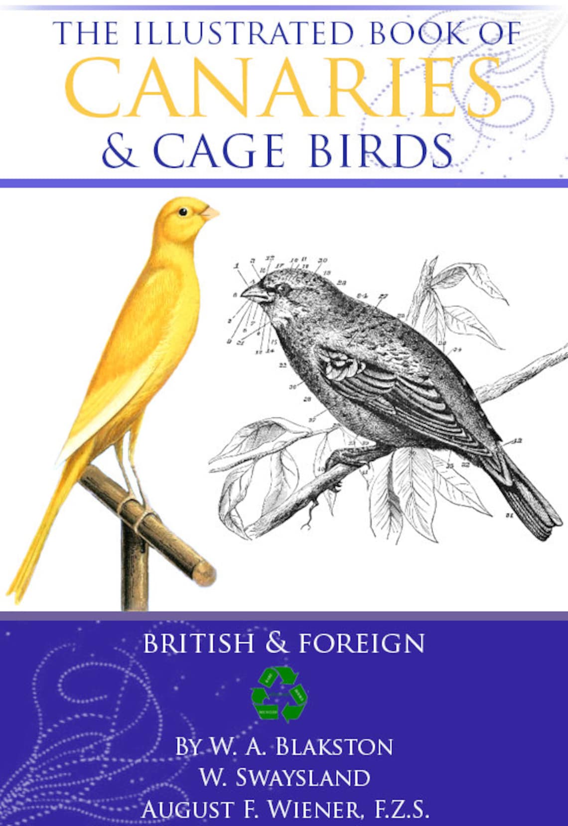 The Illustrated Book of CANARIES and CAGE BIRDS British & | Etsy