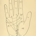 The ART of HAND READING Chirognomy Chiromancy Instant Download Palm ...
