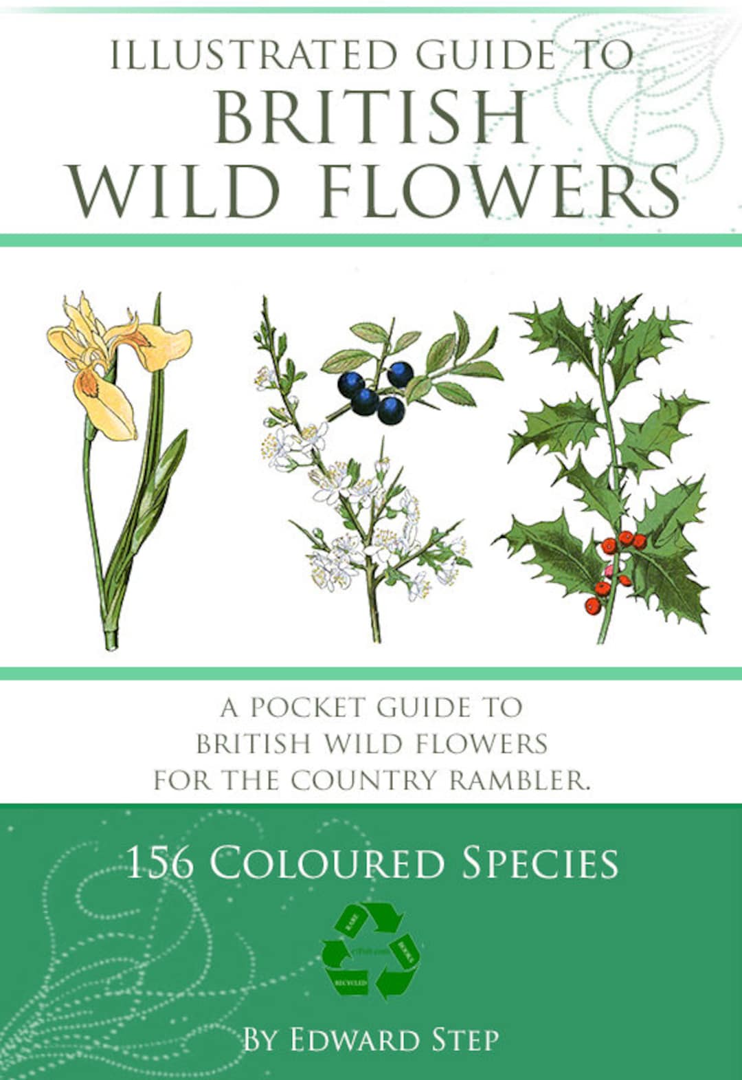 Illustrated Color Guide to BRITISH WILD FLOWERS Everything the Country ...