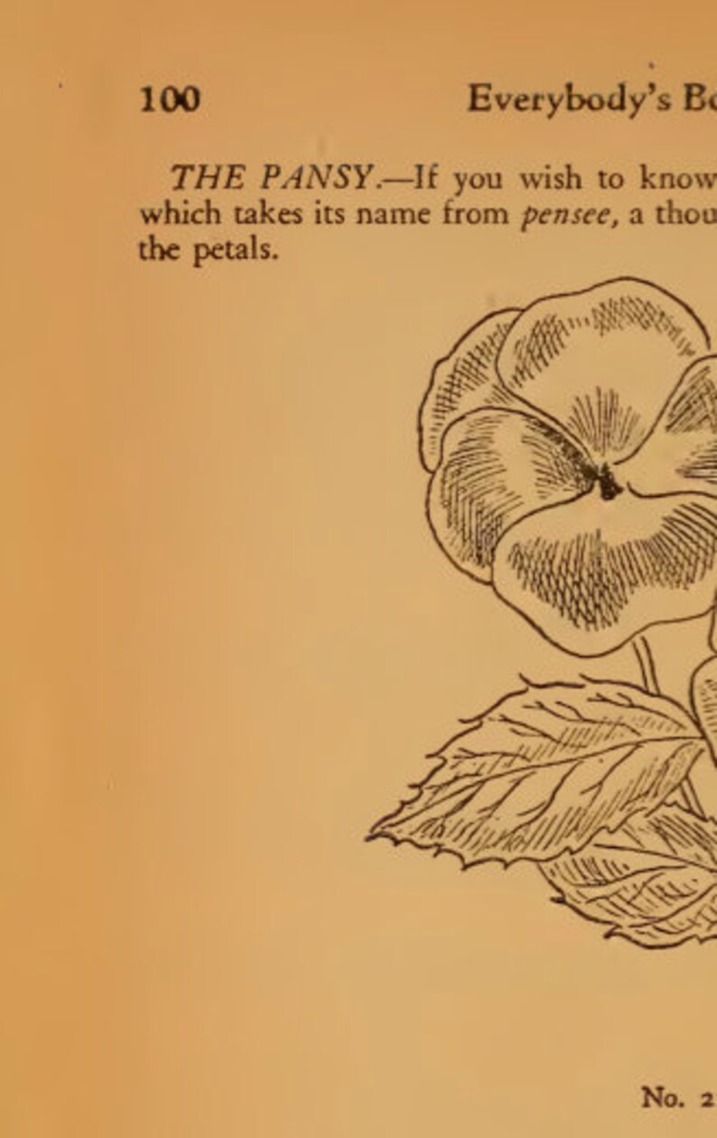 The BOOK of LUCK A Guide to Your Success Fortune Future Palmistry ...