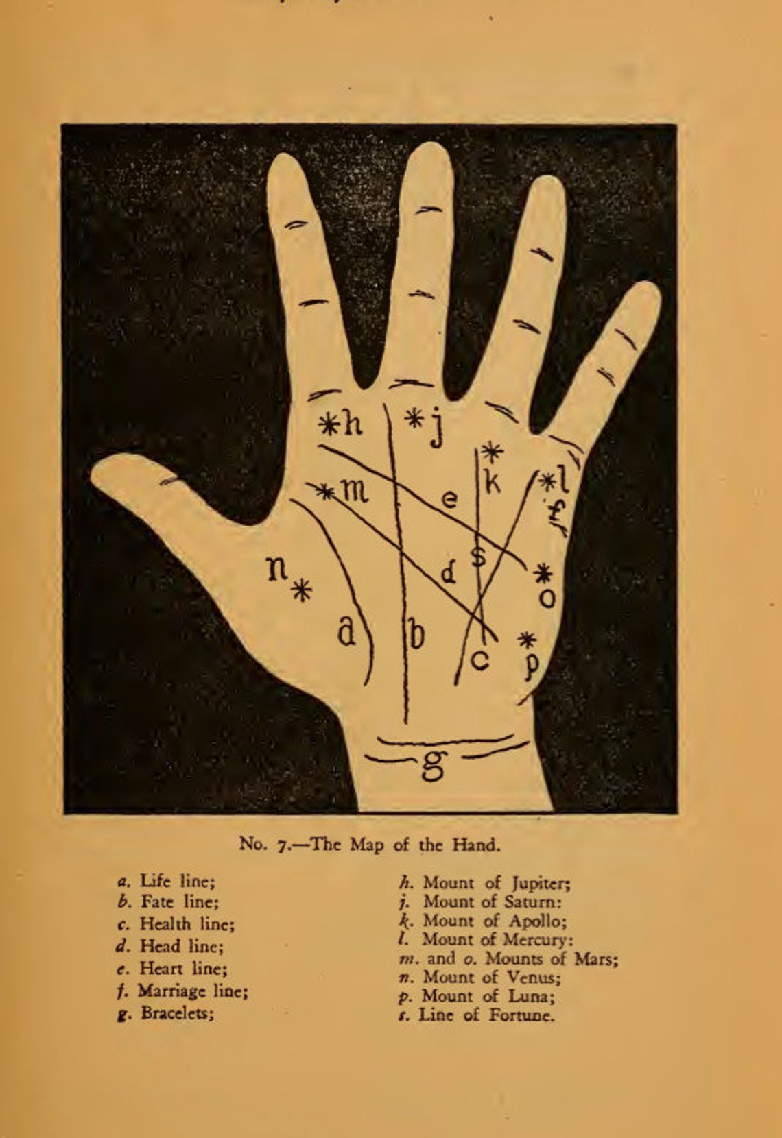 The BOOK of LUCK A Guide to Your Success Fortune Future Palmistry ...