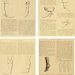 64 Rare SHOE and BOOT PATTERNS Illustrated Book How to Do Boot and Shoe ...