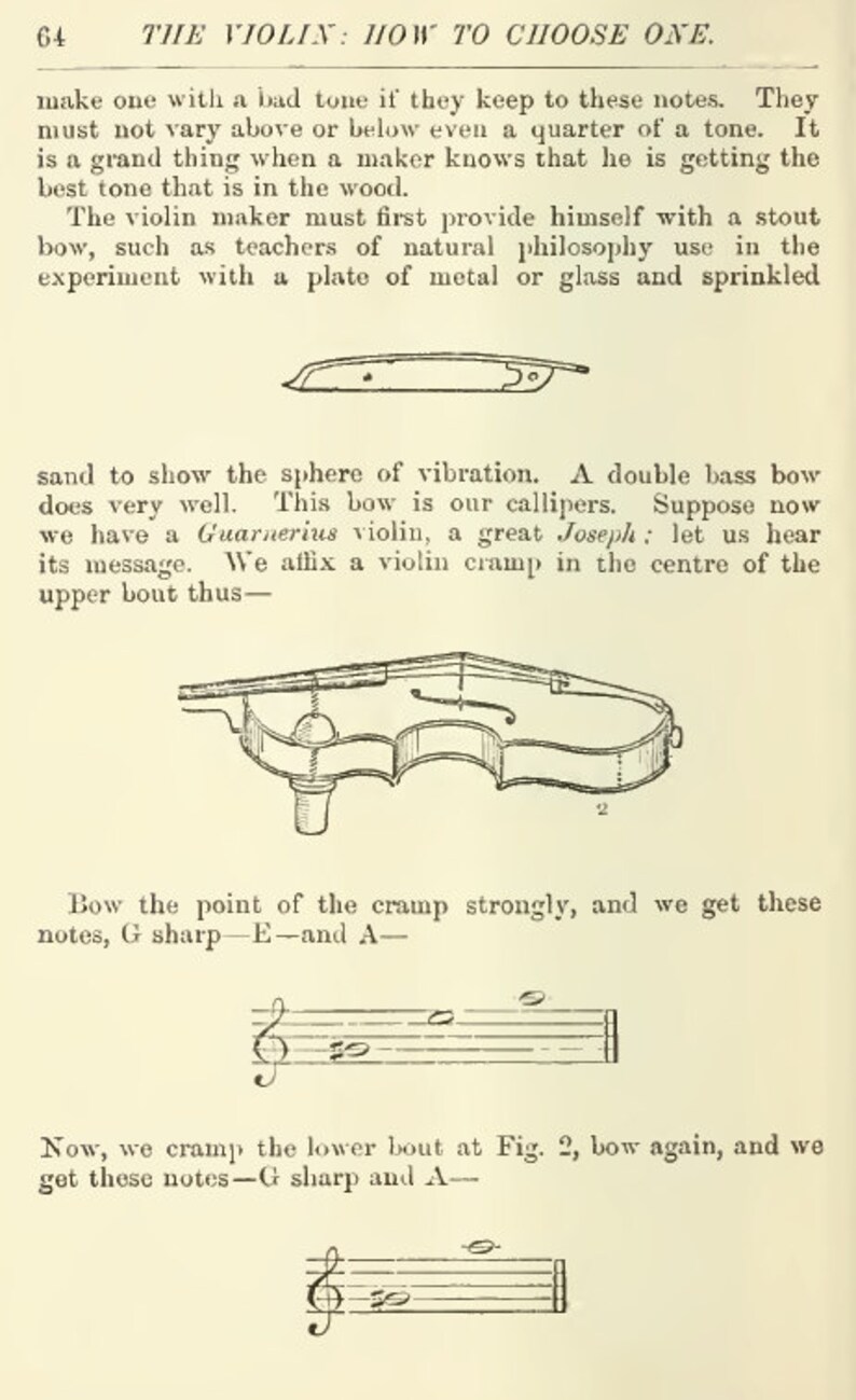 How to CHOOSE A VIOLIN Rare Illustrated Guide on What You Need - Etsy