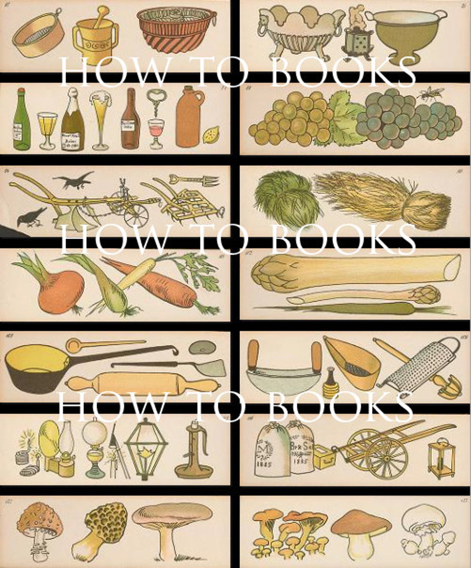 1000 Color Daily Life ILLUSTRATIONS Childrens Instructive | Etsy