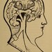 New Collection of 5 X Rare Victorian PALMISTRY ASTROLOGY PHRENOLOGY ...