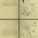 A Handbook of PLANT FORM for Students of DESIGN Rare Book With 800 ...