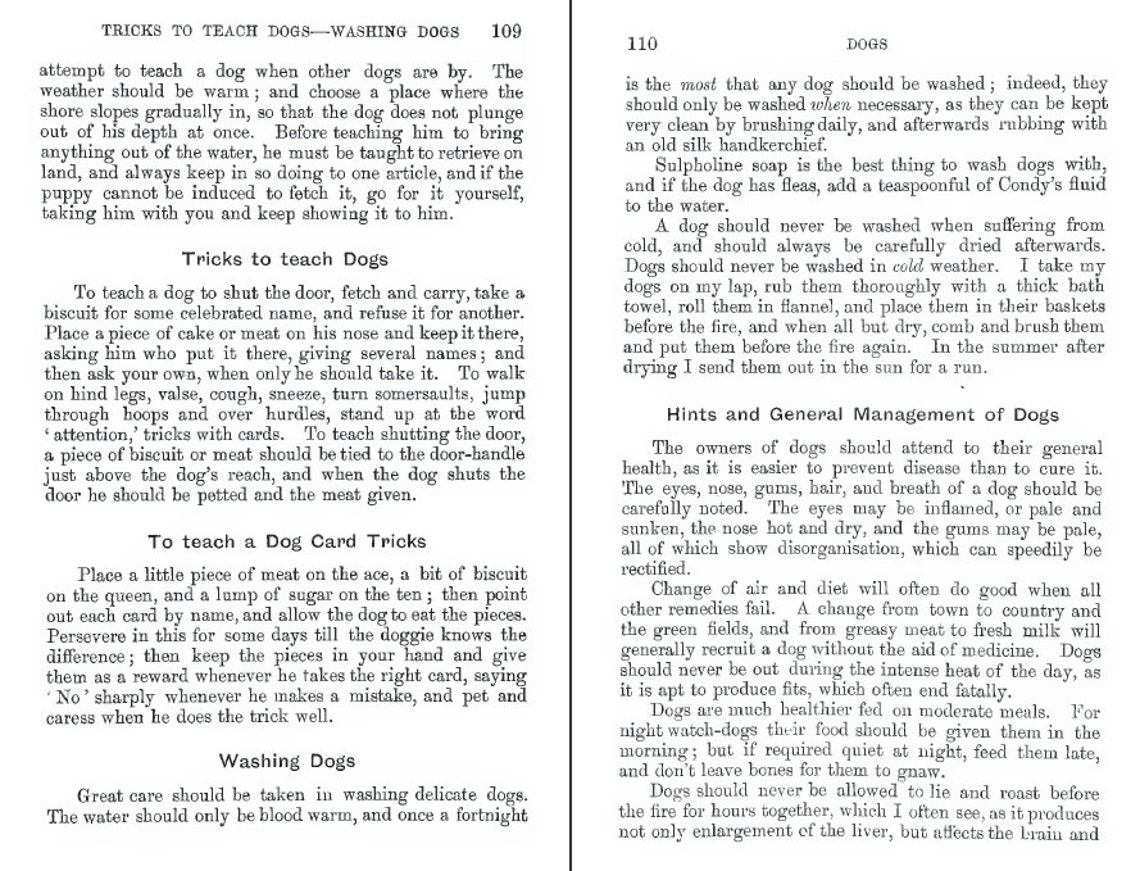 DOGS A MANUAL for AMATEURS Learn All About Breeds of Dogs - Etsy