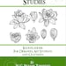 The Illustrated Guide to PLANT and FLORAL STUDIES 152 Pages of ...