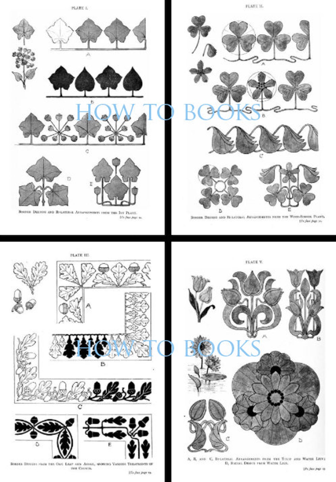 Beginners GUIDE to ORNAMENTAL DESIGN With 300 Royalty Free ...
