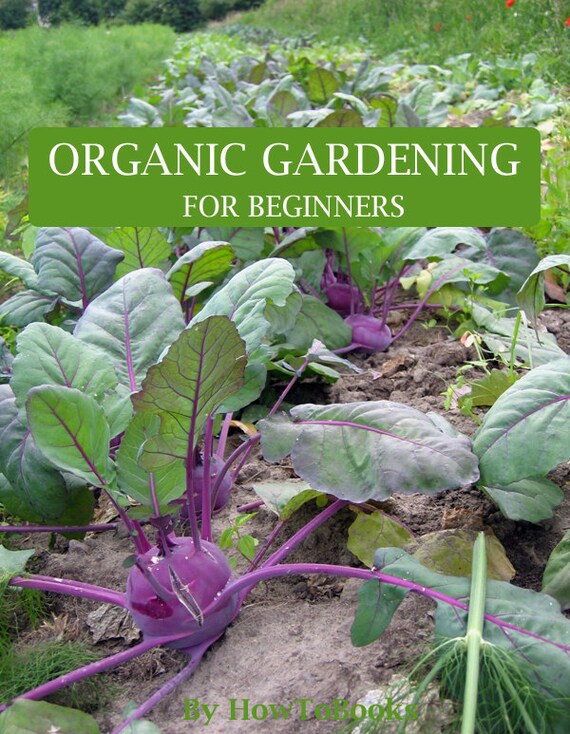 ORGANIC GARDENING for BEGINNERS Everything You Need to Know to - Etsy