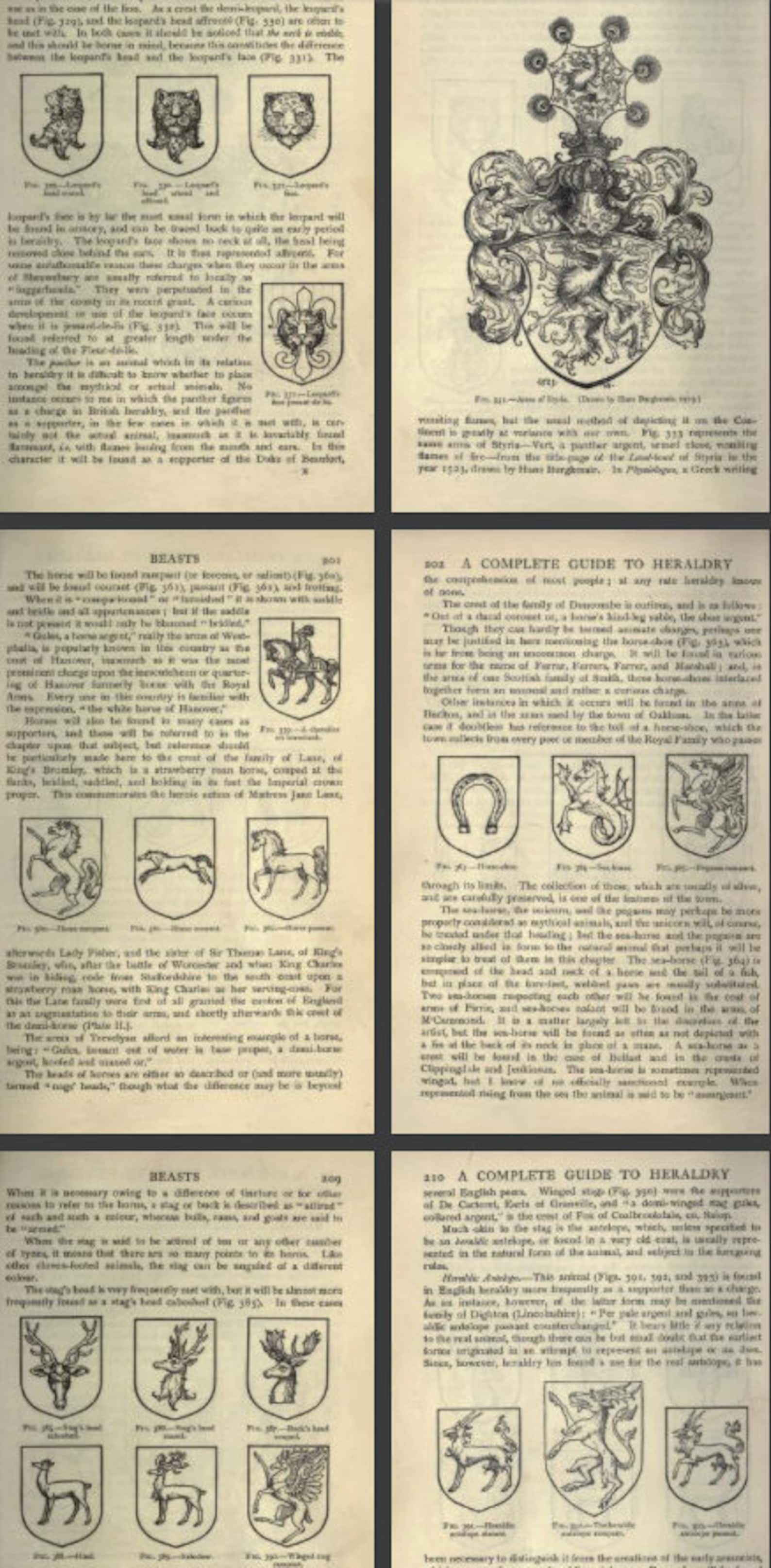 A COMPLETE GUIDE to HERALDRY 800 Designs Rare Illustrated Reference ...