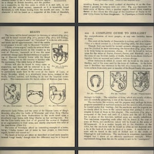 A COMPLETE GUIDE to HERALDRY 800 Designs Rare Illustrated Reference ...