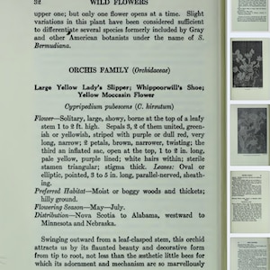 WILDFLOWERS REFERENCE GUIDE Illustrations and Wild Flower Descriptions ...