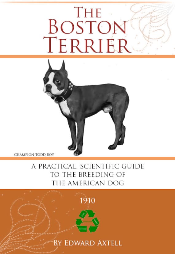 THE BOSTON TERRIER Learn All About Breeding The American Dog | Etsy