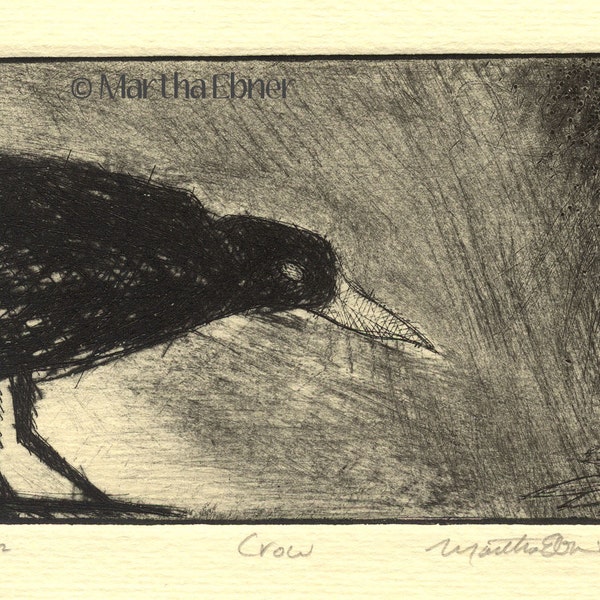 Bird Etching - Etsy
