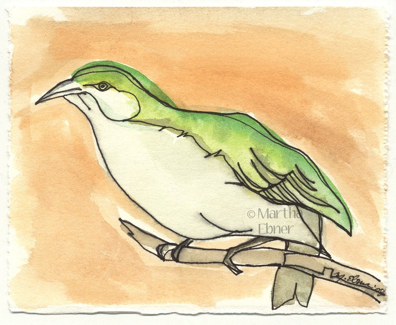 Watercolor Bird Drawing of a Hawaiian Akikiki Bird - Etsy
