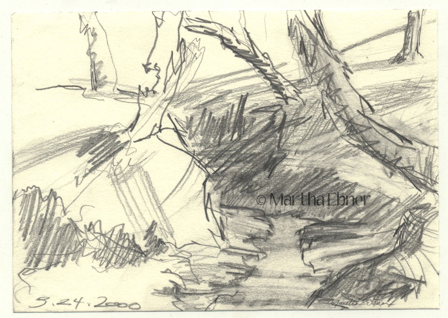 Pencil Drawing, STREAM and TREES - Etsy