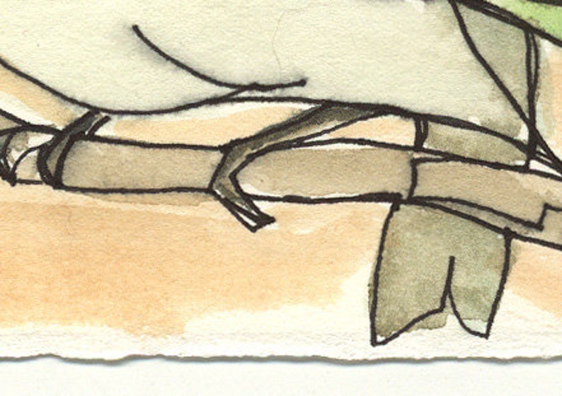 Watercolor Bird Drawing of a Hawaiian Akikiki Bird - Etsy