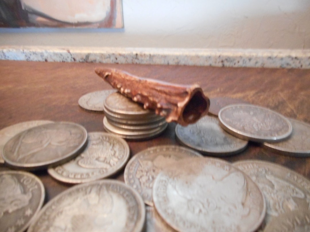 Elk Antler Brow Tine Powder Measure - Etsy