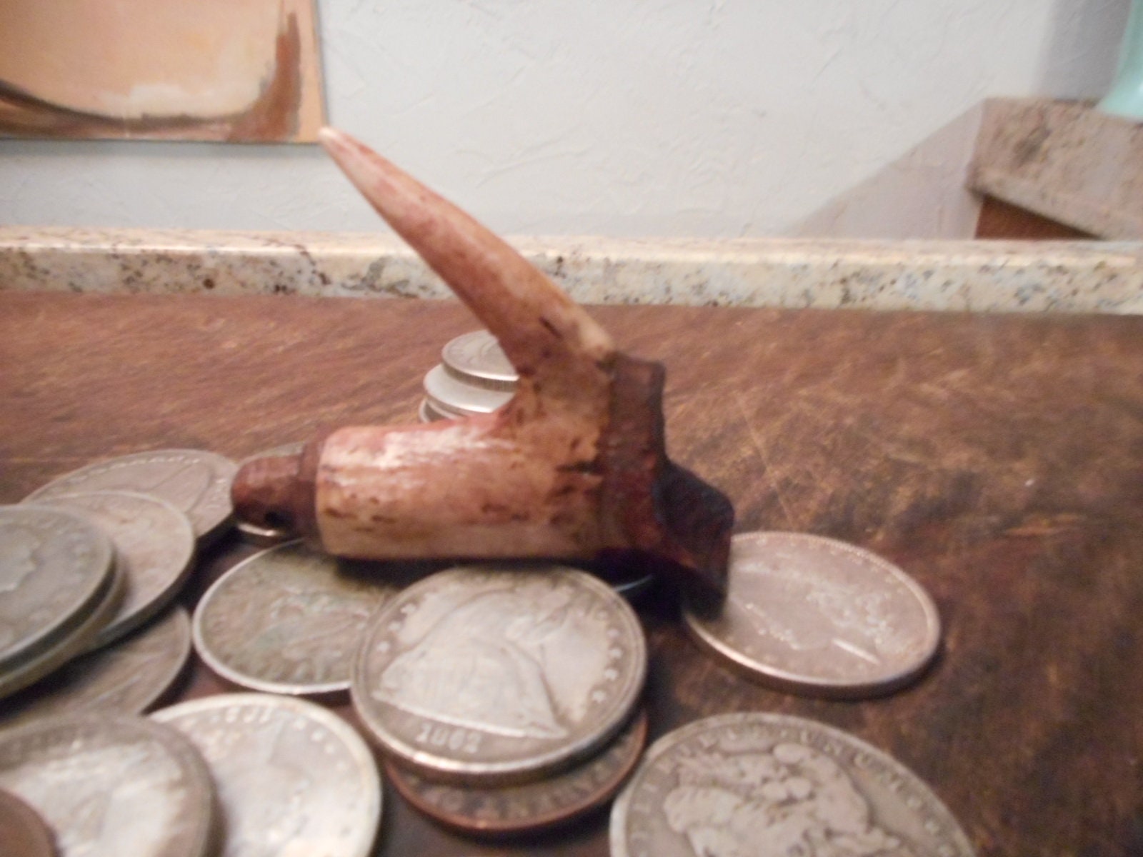 Antler Powder Measure Pitcher Style - Etsy