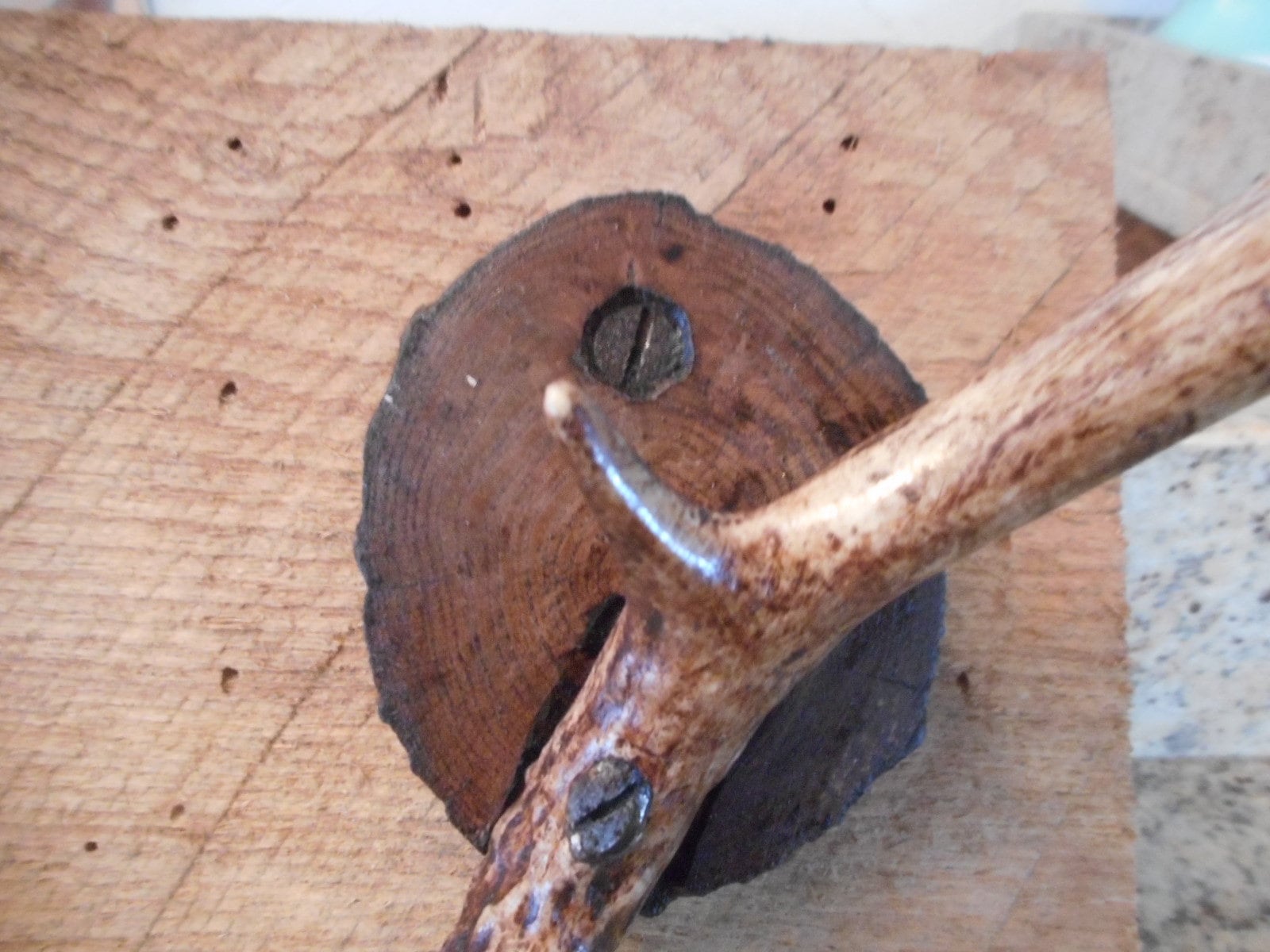 Antler Gun Rack - Etsy