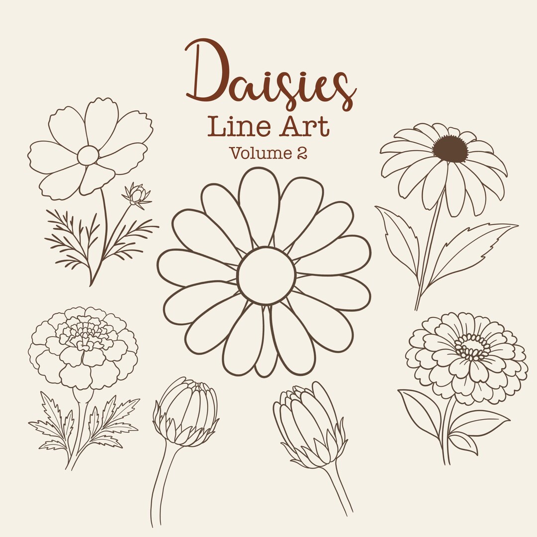 Daisies Line Art Volume 2 PNG Bundle, Daisy Flower Outline Clipart ...