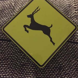 Antelope Phish Sticker or Magnet - Etsy