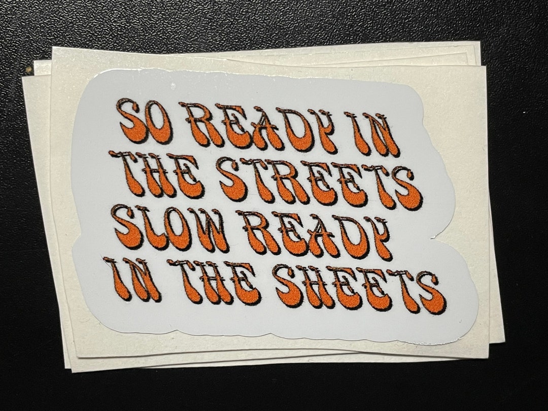 So Ready, Slow Ready Goose Sticker or Magnet - Etsy
