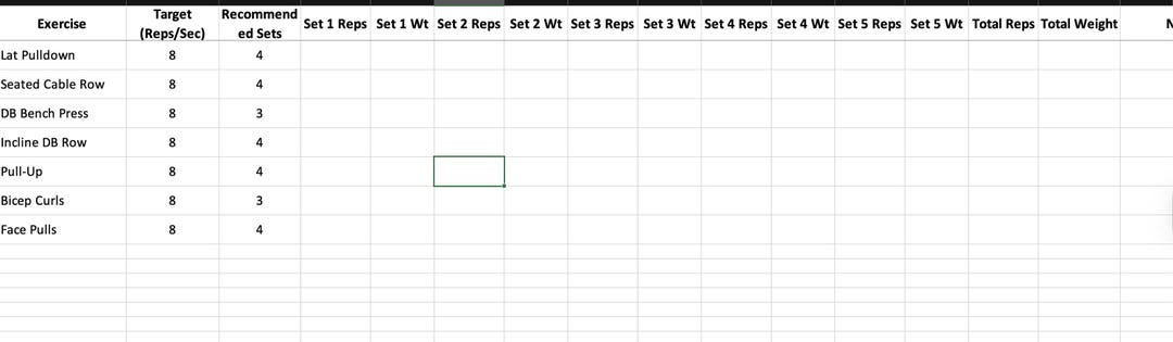 Year Long Pull-up Progression Plan - Etsy