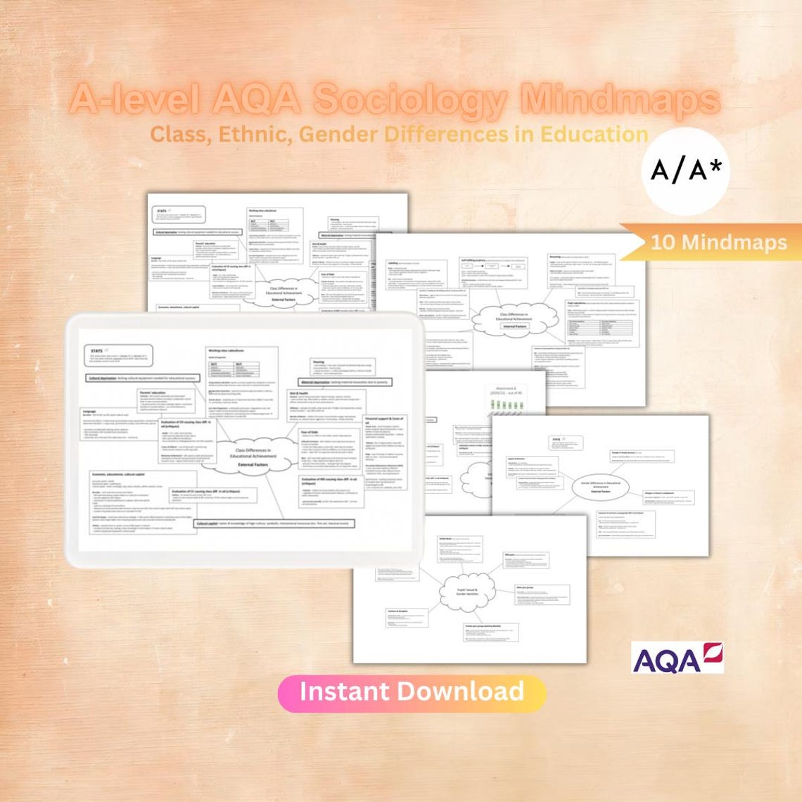 AQA A-level Sociology Mindmaps: Class, Ethnic, Gender Differences in ...